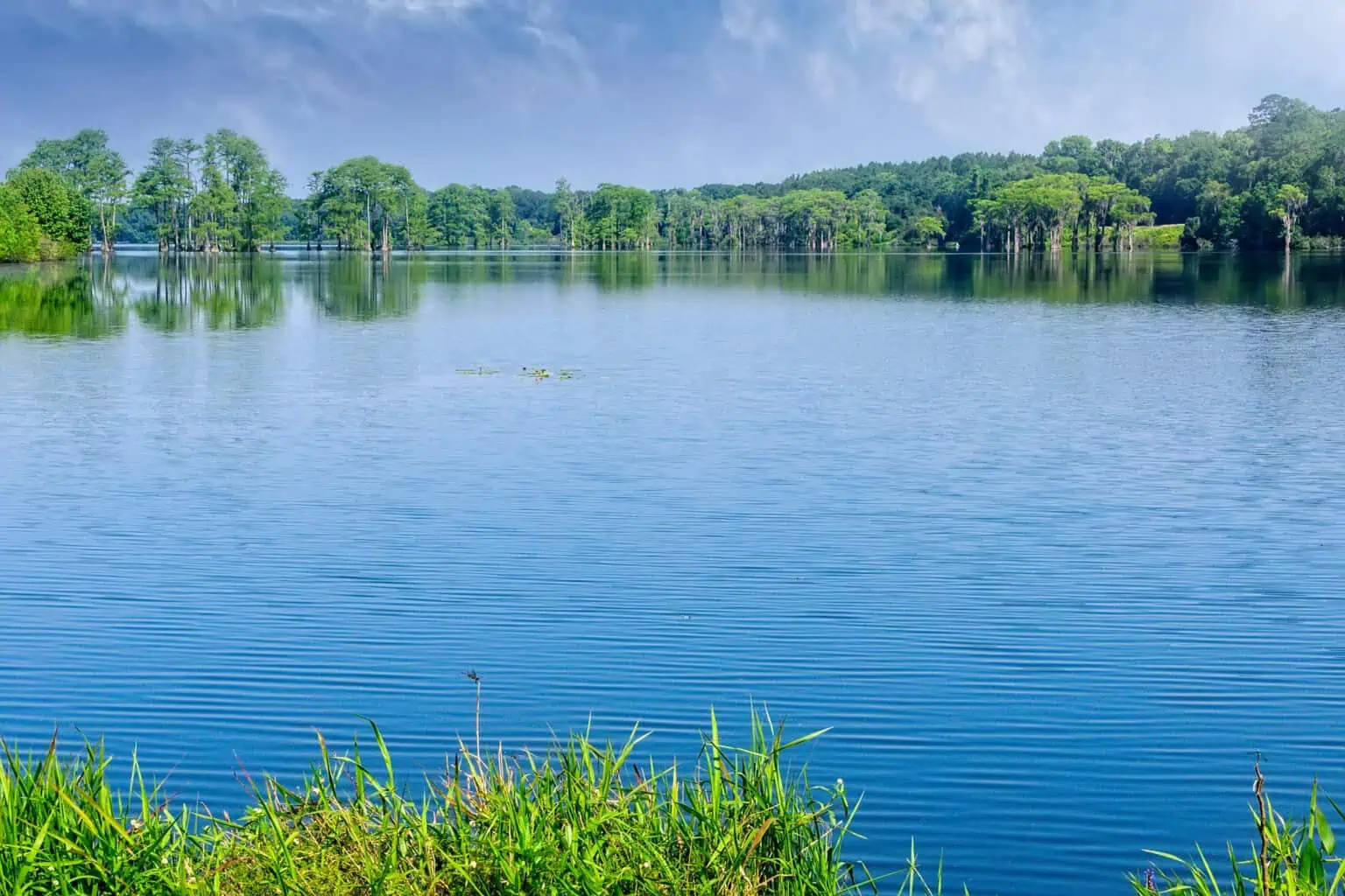 Lake Vs Pond: What's The Difference?