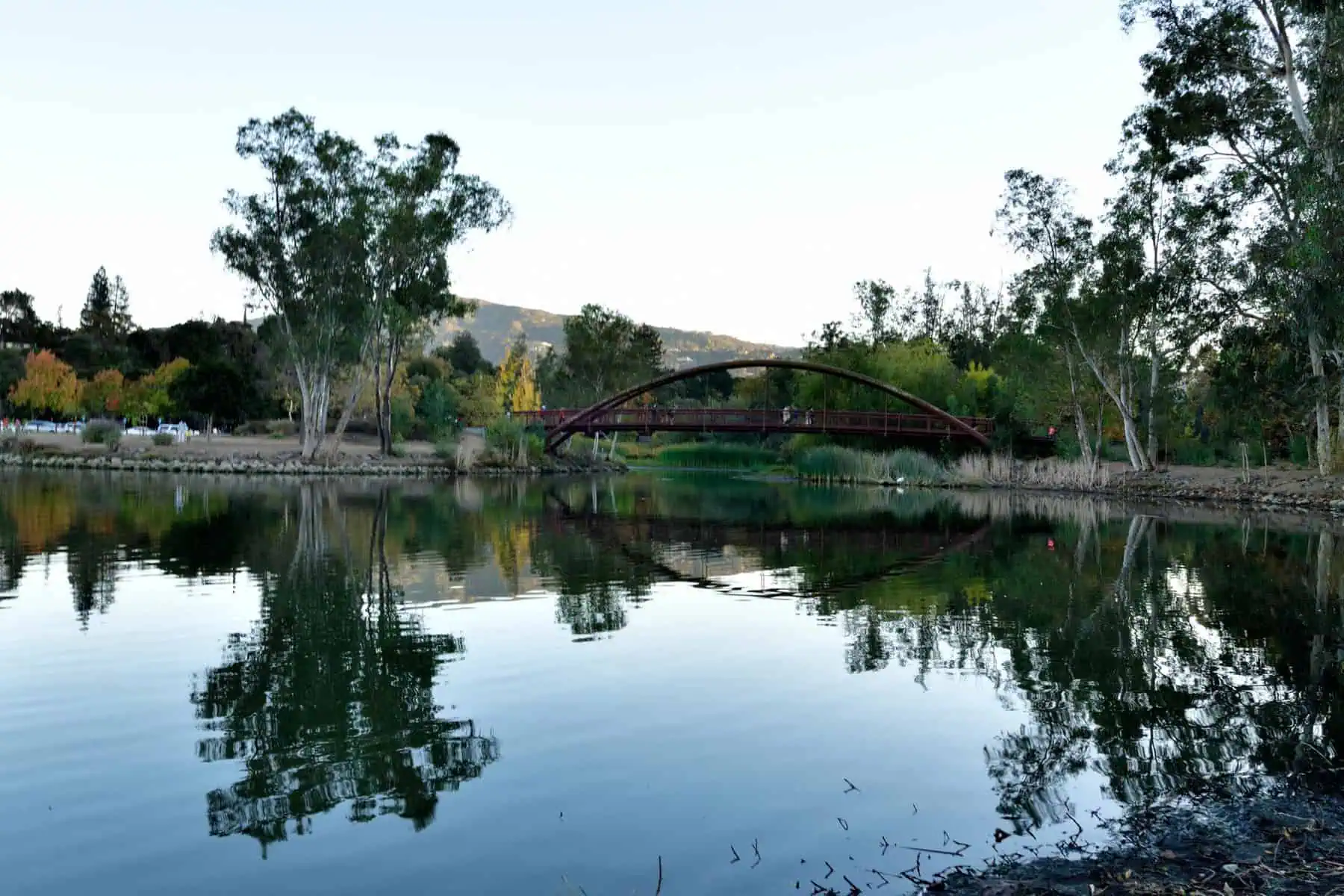 Lake Vs Pond: What's The Difference?